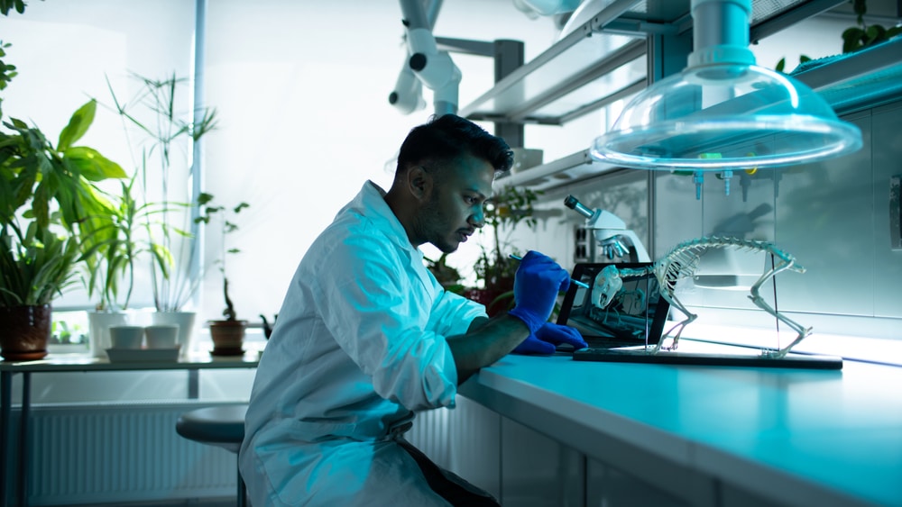 Ancient DNA Discloses Dynastic Connections With German Prehistory ...