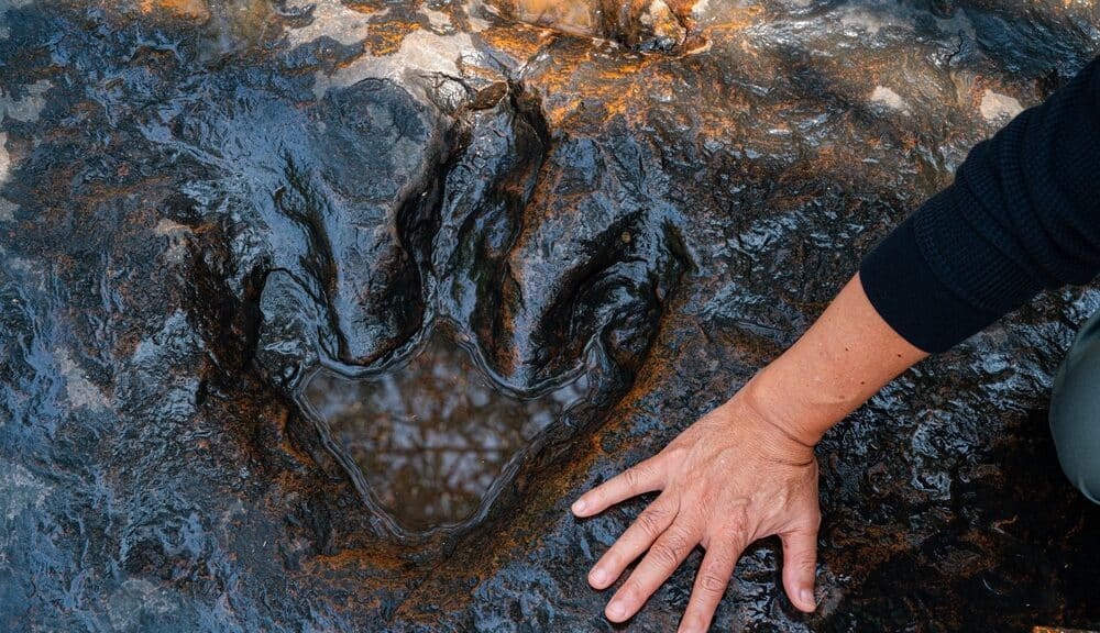 RESEARCHERS REVEAL FRESH EVIDENCE THAT EXPLAIN THE DEMISE OF NORTH ...