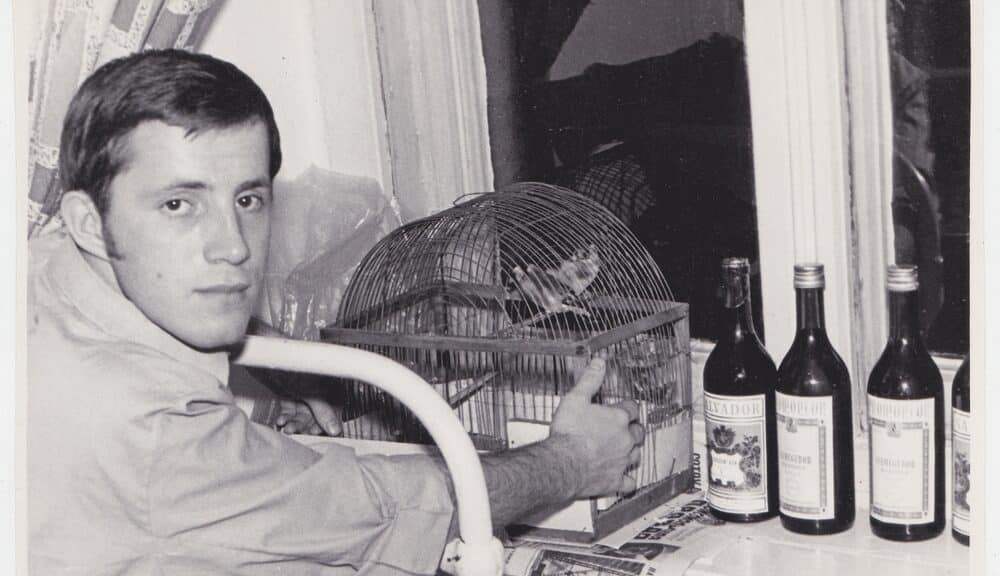 A Look At The European Household And Family History - BrainVeto